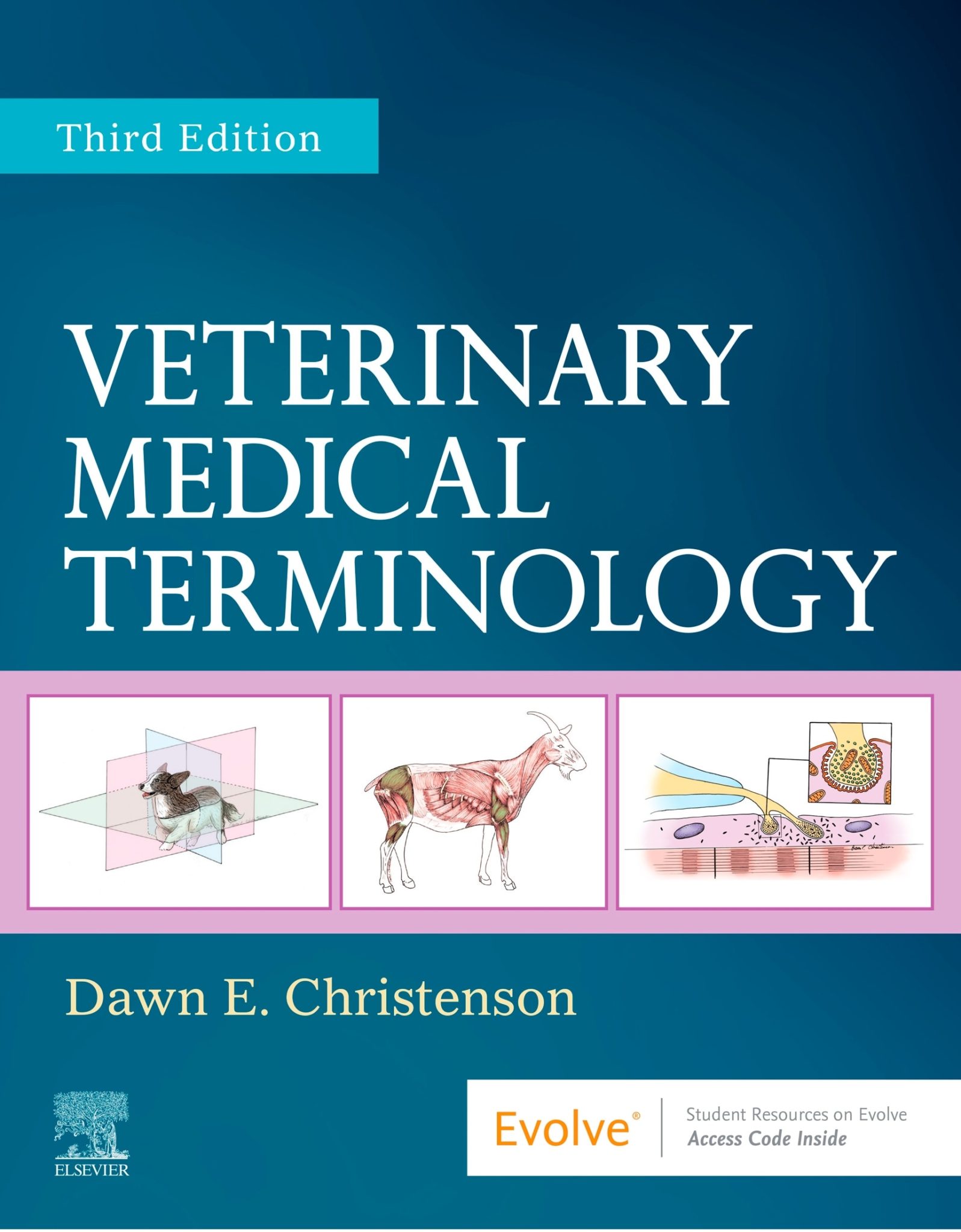 #1 Online Veterinary Assistant Training Program